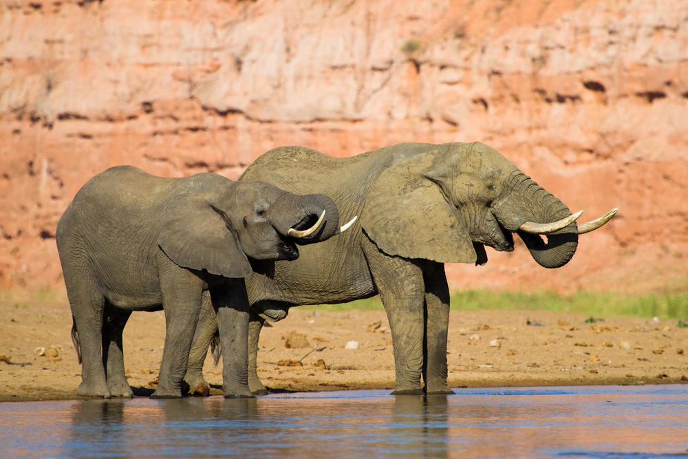 Seven Wonders of Zimbabwe – Seven Wonders | 7 Wonders of the World