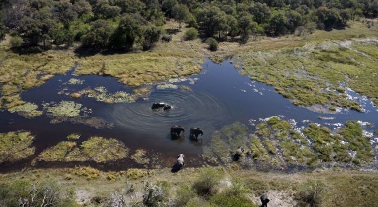 Okavango Delta – Seven Wonders | 7 Wonders of the World